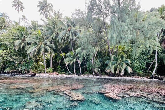 Half day Tahiti Peninsula and Teahupoo boat tour (shared boat) - Key Points