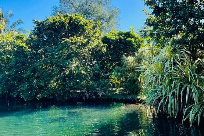 Half day Tahiti Peninsula and Teahupoo boat tour (shared boat) - Why This Tour Offers Great Value