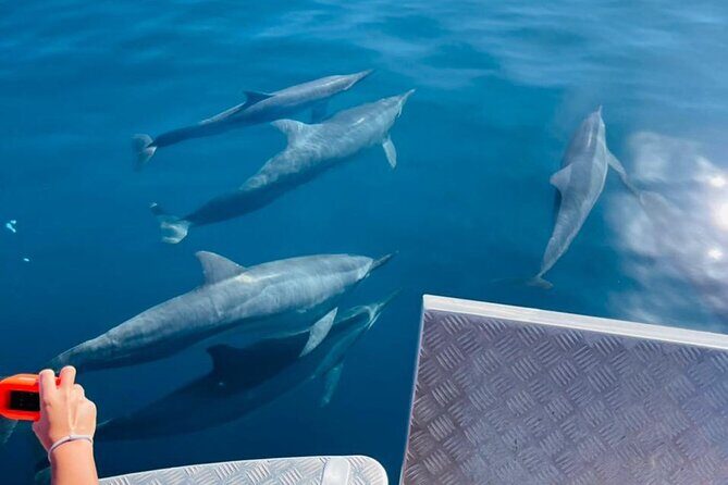 Half day Tahiti Peninsula and Teahupoo boat tour (shared boat) - The Sum Up: Who Will Love This Experience?