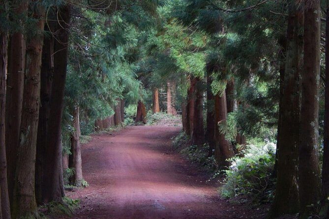 Half Day Terceira Island Tour by 4x4 - Cultural and Natural Insights