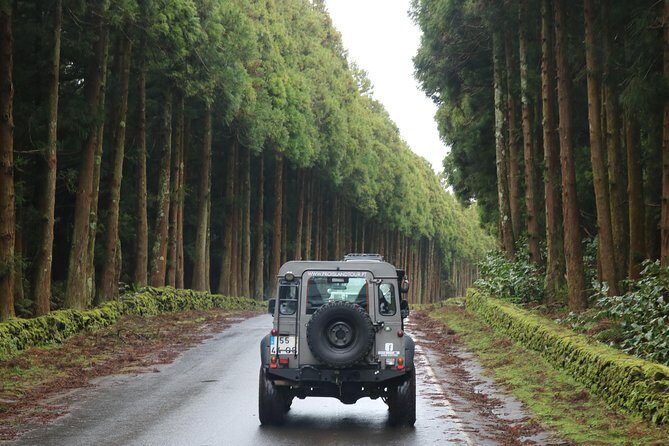 Half Day Terceira Island Tour by 4x4 - Food and Refreshments