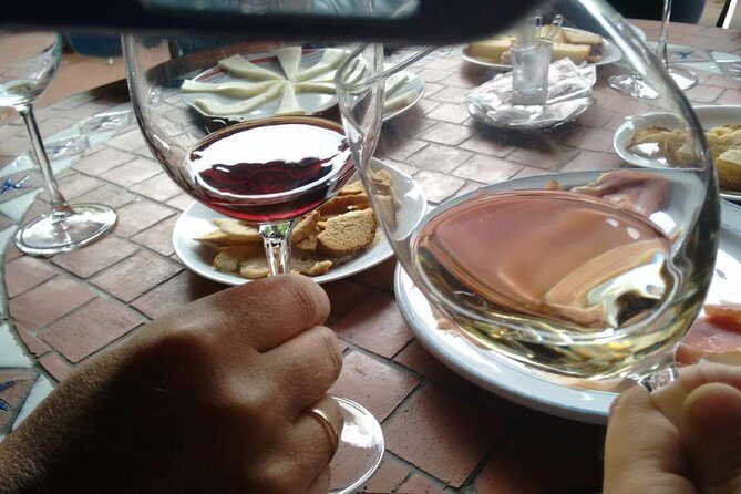 Half day to Bandama Caldera, Botanical experience & Wine-Tasting - Who Is This Tour Best For?