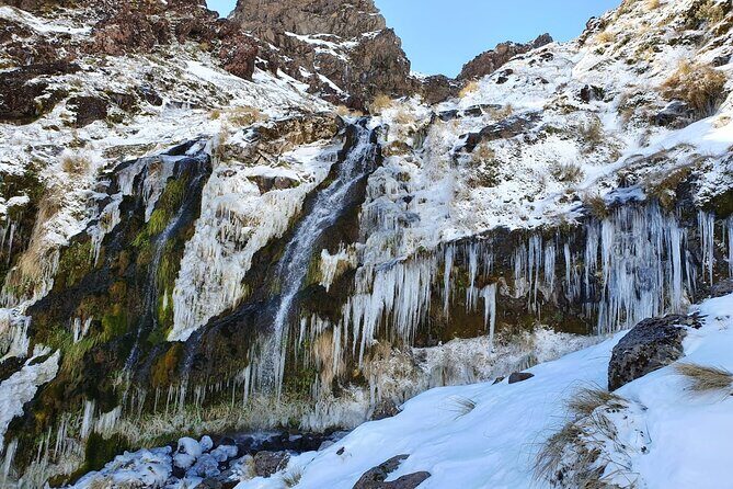 Half Day Tongariro Alpine Guided Group Walk - What Makes This Tour Stand Out?