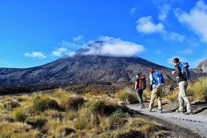 Half Day Tongariro Alpine Guided Group Walk - Final Thoughts: Is This Tour Right For You?