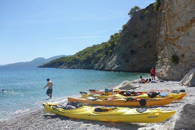 Half Day Tour - The Experience: What to Expect from the Kayaking Tour