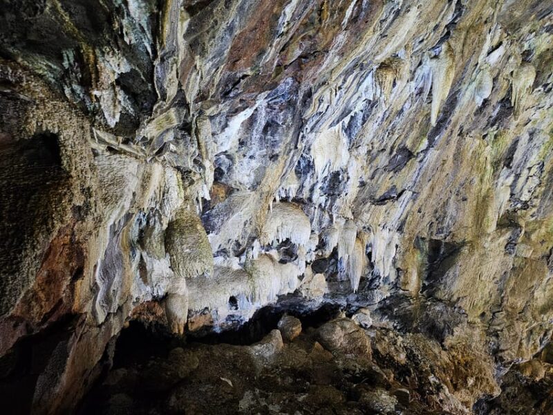 Half Day Tour - Algar do Carvão Lava Route - Authentic Insights from Reviewers