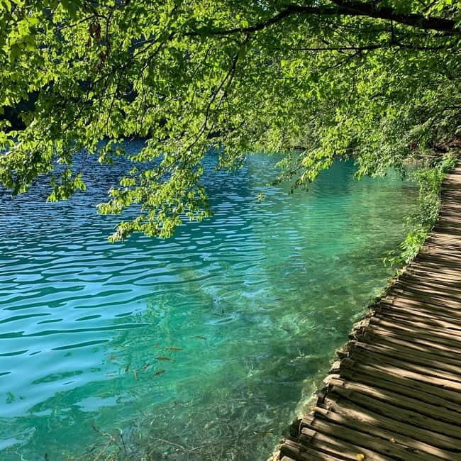 Half day tour around Plitvice Lakes - A Detailed Dive into the Plitvice Lakes Half-Day Tour