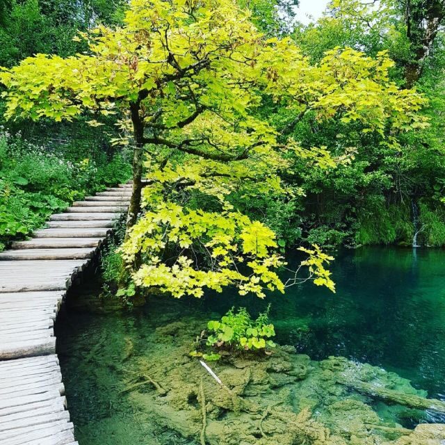 Half day tour around Plitvice Lakes - The Sum Up