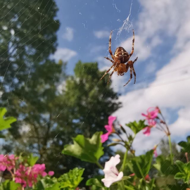 Half day tour around Plitvice Lakes - FAQ
