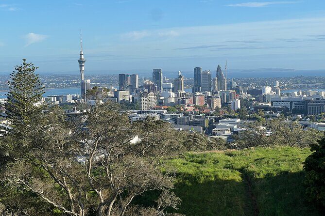 Half-Day Tour: AUCKLAND CITY Highlights with Hotel Pickup - Exploring Auckland in a Half-Day
