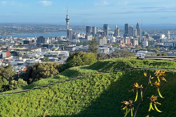 Half-Day Tour: AUCKLAND CITY Highlights with Hotel Pickup - Detailed Breakdown of the Itinerary