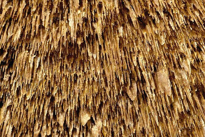 Half Day Tour Bus to the Caves of Drach - Final Thoughts