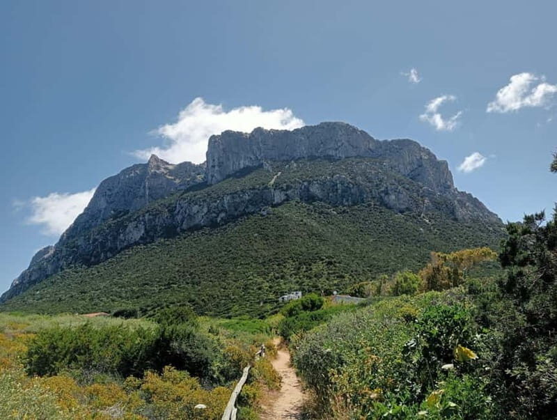 Half-day tour by dinghy in the Tavolara Marine Protected Area - Exploring the Tavolara Marine Protected Area by Dinghy