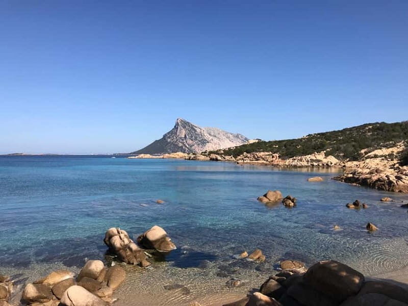 Half-day tour by dinghy in the Tavolara Marine Protected Area - Authentic Experiences and Honest Insights from Reviews
