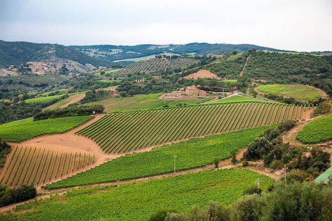 Half Day Tour Chianti Winery with San Gimignano - In-Depth Look at the Tour Itinerary