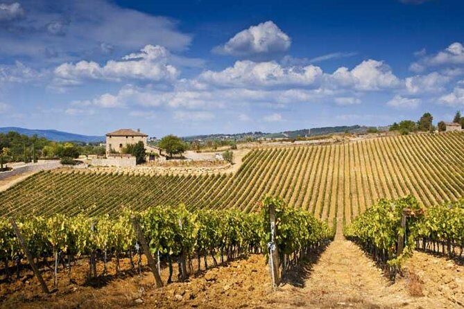 Half Day Tour Chianti Winery with San Gimignano - FAQs