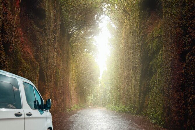 Half Day Tour Discovering Anaga Tenerife - An Engaging Introduction to a Unique Tenerife Wilderness