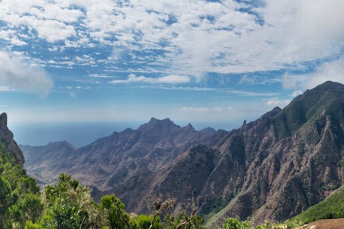 Half Day Tour Discovering Anaga Tenerife - A Closer Look at the Itinerary: What to Expect