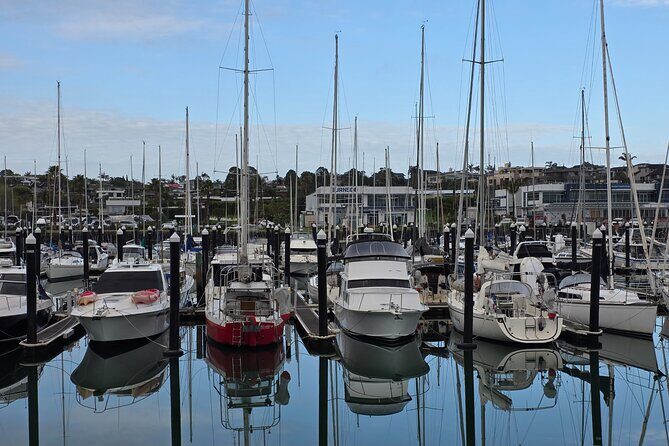 Half Day Tour EAST AUCKLAND Explorer and Scenic Ferry Return - An In-Depth Look at the Itinerary