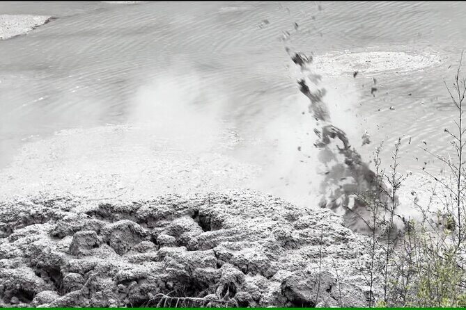 Half-Day Tour - Ex Rotorua: WAI-O-TAPU Thermal Wonderland - Exploring the Wai-O-Tapu Thermal Wonderland: A Practical Review