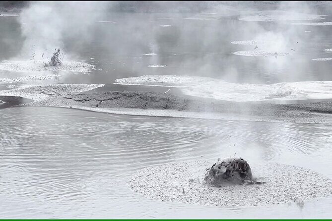 Half-Day Tour - Ex Rotorua: WAI-O-TAPU Thermal Wonderland - Final Verdict: Is This Tour Worth It?