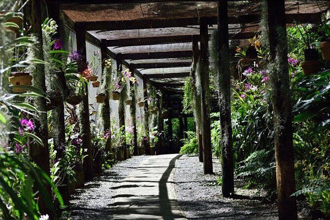 Half Day Tour from Nadi includes Local Markets, Orchid Gardens and Local Village - Shore Excursions - Practical Tips and Considerations