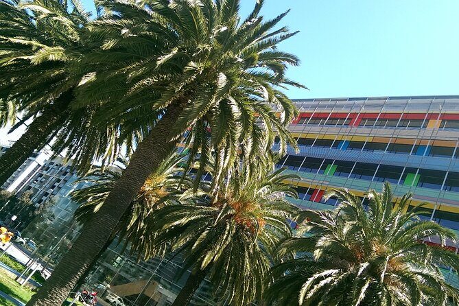 Half Day Tour in Melbourne City Highlights - FAQ