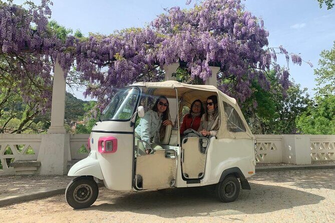 Half Day Tour in Sintra and the Coastline - An In-Depth Look at the Tour Itinerary