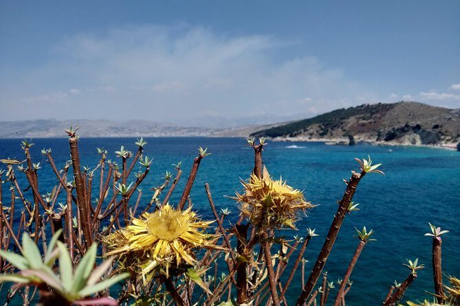 Half-day Tour in South Albania (Blue Eye, Lekursi Castle, Ksamil) - Authentic Experiences Shared by Tour Reviewers