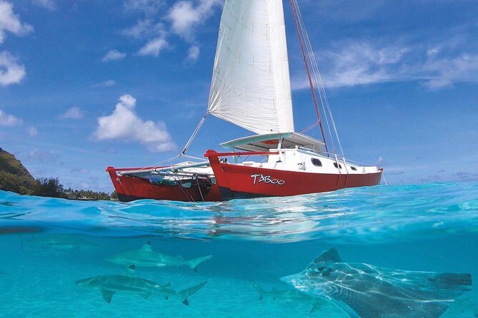 Half Day Tour : Moorea Snorkeling & Sailing on a Catamaran named Taboo - Key Points
