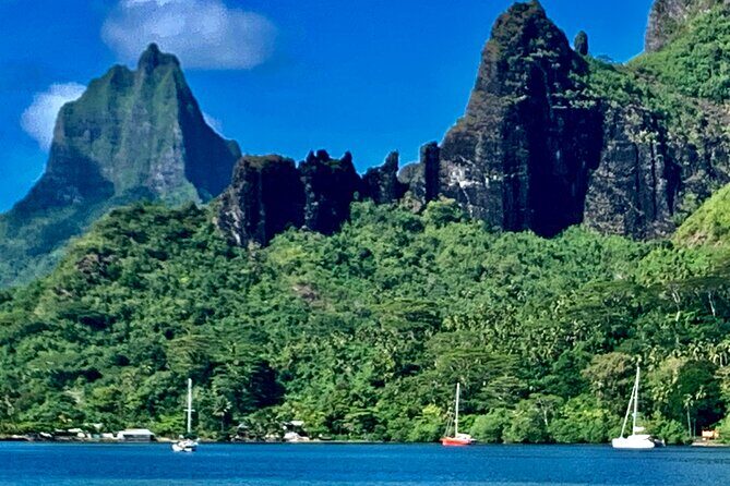 Half-Day Tour of Moorea Island in a Small Group - The Experience: What to Expect on this Moorea Tour