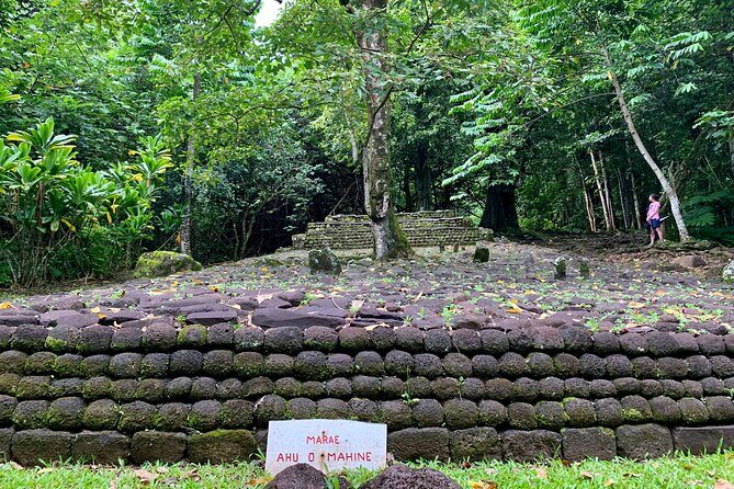 Half-Day Tour of Moorea Island in a Small Group - The Bumps in the Road: What to Watch Out For