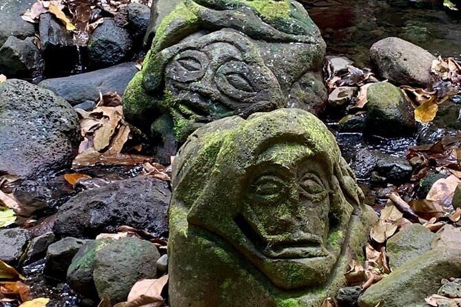 Half-Day Tour of Moorea Island in a Small Group - Who Will Love This Tour?