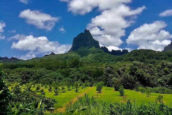 Half-Day Tour of Moorea Island in a Small Group - The Sum Up: Is It Worth Your Time?
