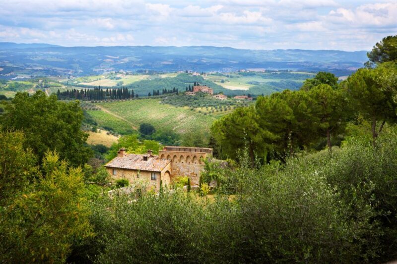 Half-Day Tour of San Gimignano From Florence - Who Should Consider This Tour?