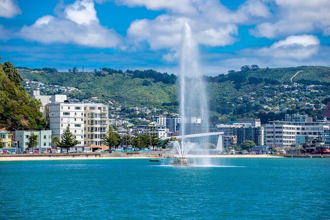 Half Day Tour of Wellington - Who Should Opt for This Tour?  
