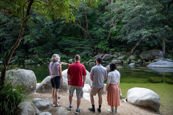 Half Day Tour to Daintree Rainforest and Mossman Gorge - Experience Quality and Comfort