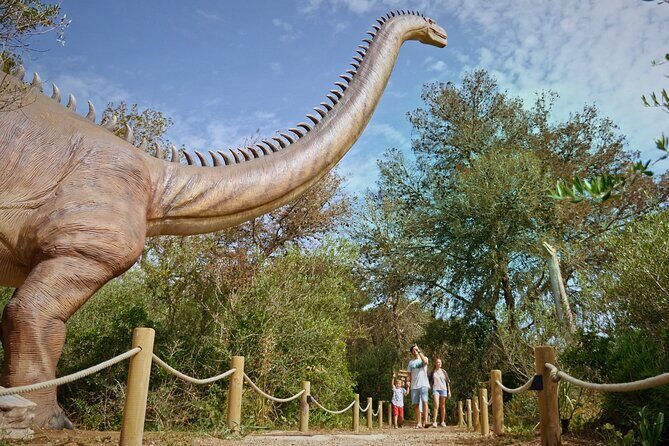 Half Day Tour to Dinosaur Land in Mallorca - A Full Breakdown of the Tour Experience