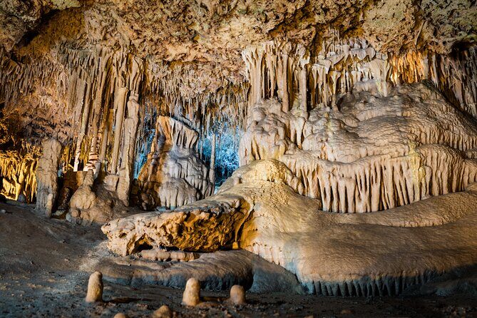 Half Day Tour to Dinosaur Land in Mallorca - Who Is This Tour Best For?