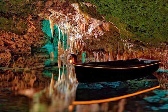 Half Day Tour to Dinosaur Land in Mallorca - Final Thoughts