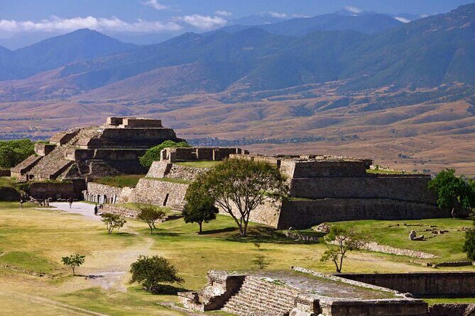 Half day tour to Monte Albán - What the reviews tell us