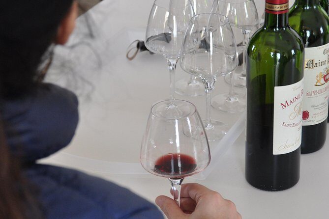 Half-day tour to Saint Emilion, a UNESCO site, with a private guide - The Sum Up: Is This Tour Worth It?