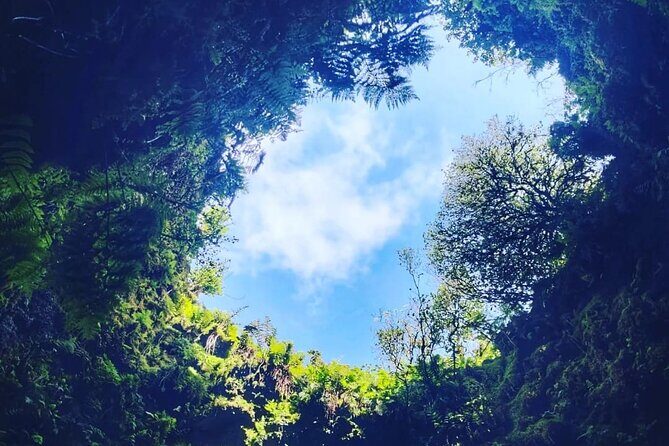 Half Day Tour to the Caves - Key Points