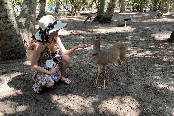 Half-Day Tour to Ventanilla, Mazunte, Zipolite and Puerto Angel - An Honest Look at the Half-Day Tour to Ventanilla, Mazunte, Zipolite, and Puerto Angel