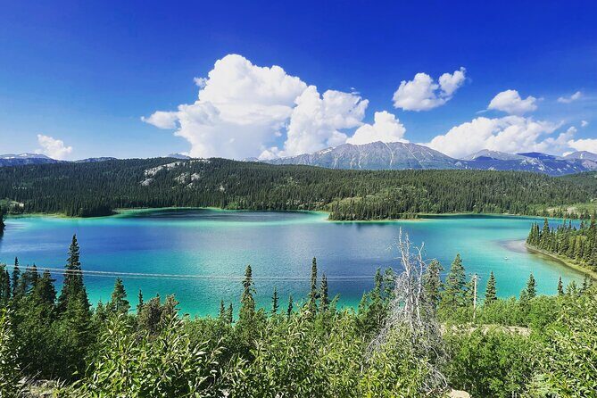Half Day Tour to Yukon and Suspension Bridge - FAQ