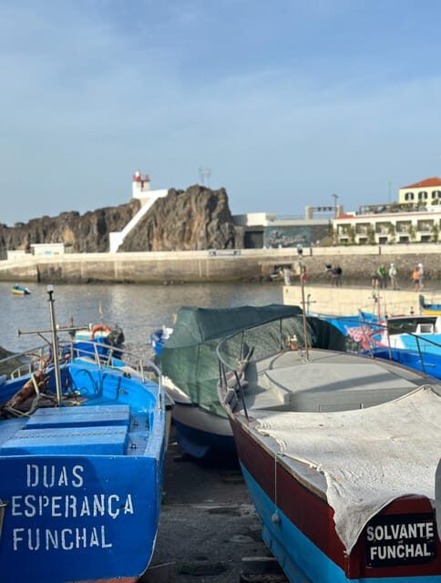 Half Day tour with Madeira Wine tasting - Key Points