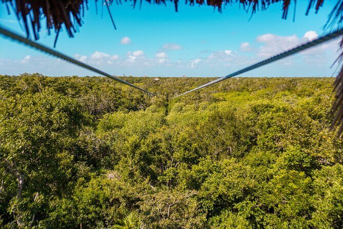 Half Day tour Zipline + Rappel + Cenote from Riviera Maya hotels - Frequently Asked Questions