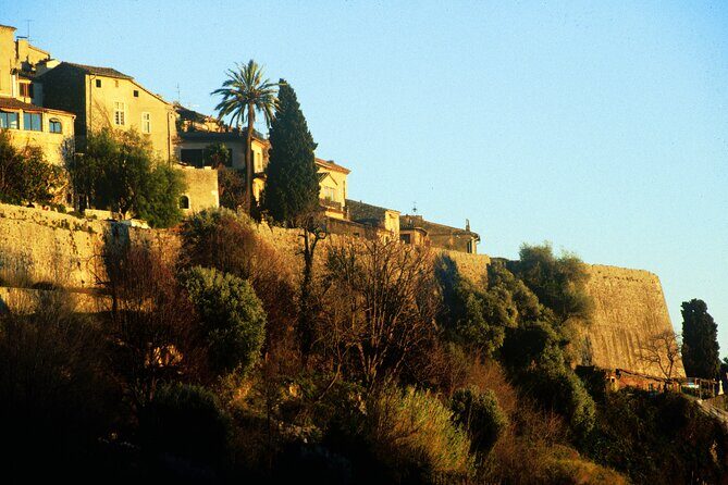 Half-Day Trip to St Paul de Vence and Cannes from Nice - What the Reviews Tell Us