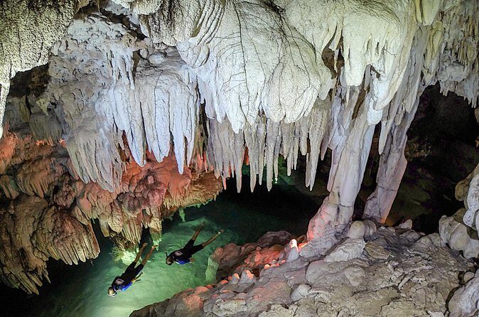 Half-Day Underwater World Tour - The Sum Up: Who Will Love This Tour?