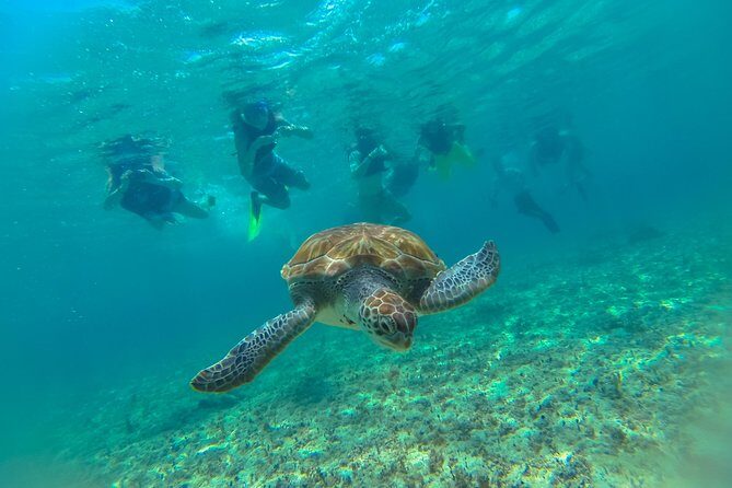 Half-Day Underwater World Tour - Frequently Asked Questions